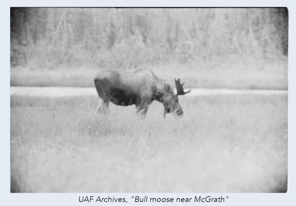 Introduction to the Alaska Board of Game – Tanana Chiefs Conference