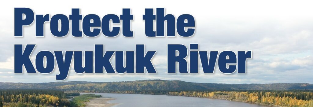 Protect the Koyukuk River – Tanana Chiefs Conference