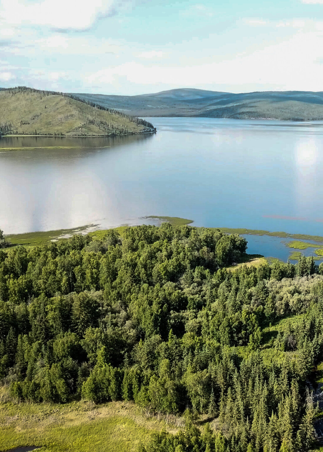 About Us – Tanana Chiefs Conference