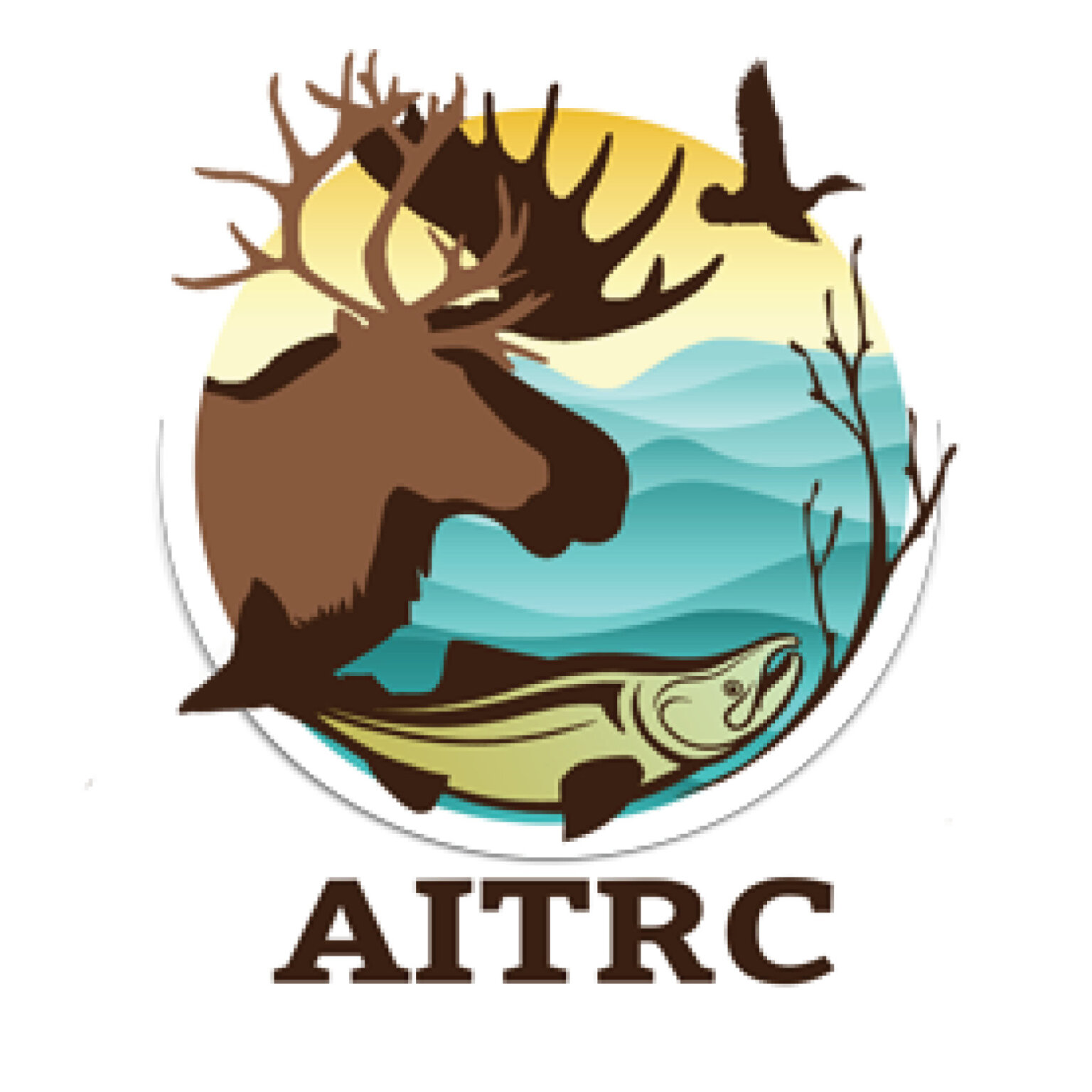 Hunting, Fishing, Gathering Task Force – Tanana Chiefs Conference