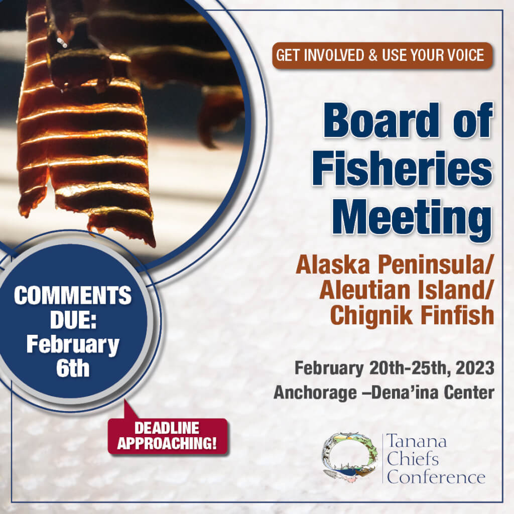 Board of Fish Meeting – Alaska Peninsula (Area M)/Aleutian Island ...