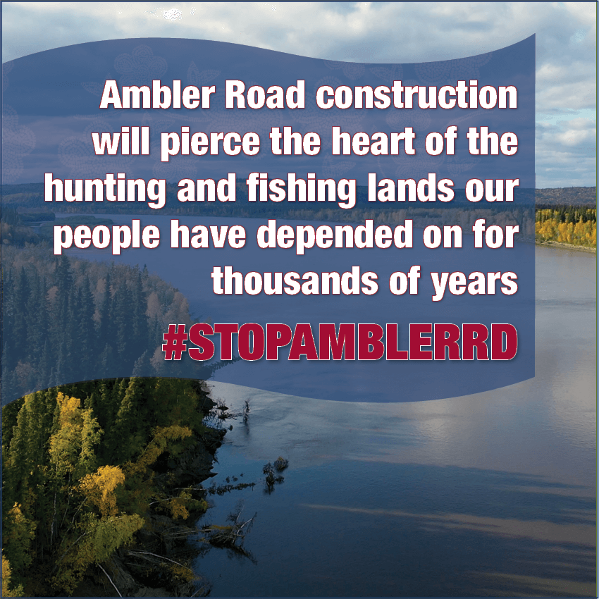 Stop Ambler Road Graphics – Tanana Chiefs Conference