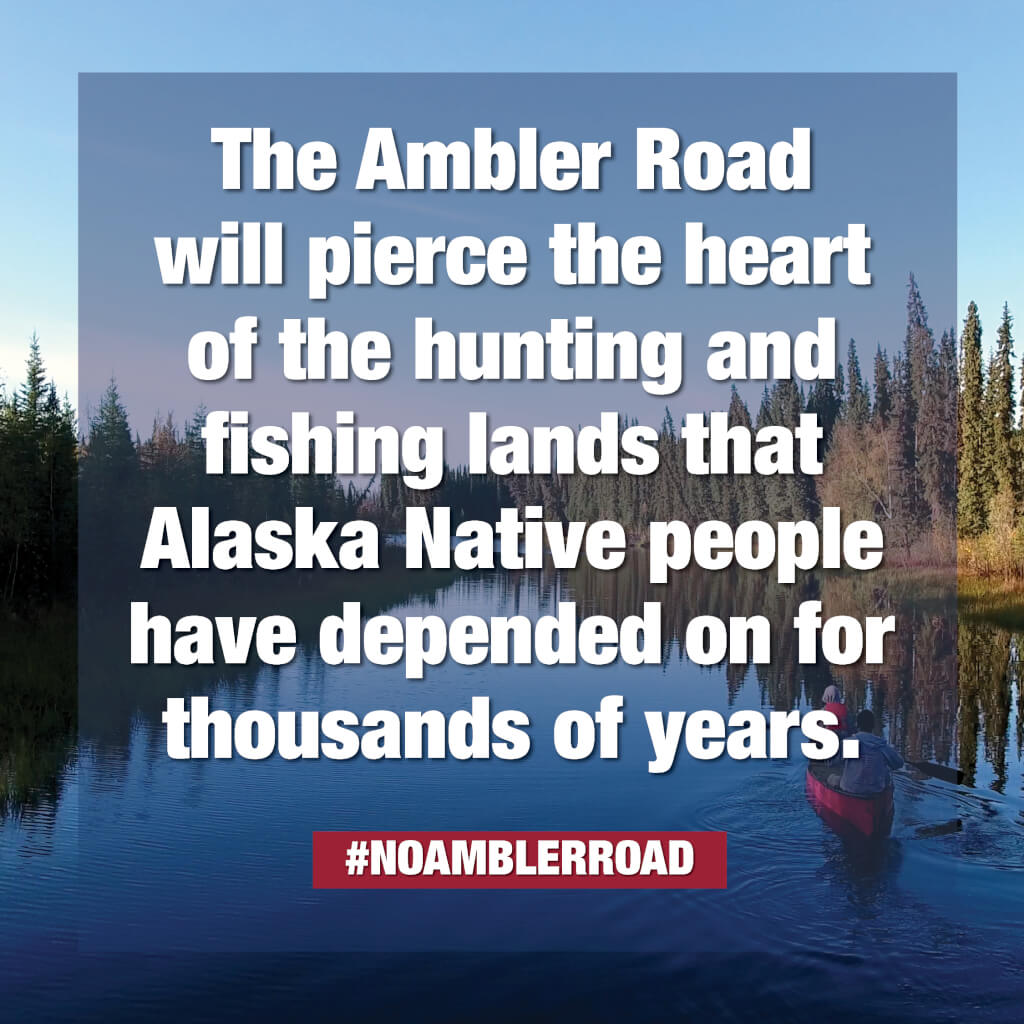Stop Ambler Road Graphics – Tanana Chiefs Conference
