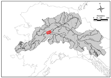 Tribal Resource Stewardship Corner – Middle Yukon River Sonar ...