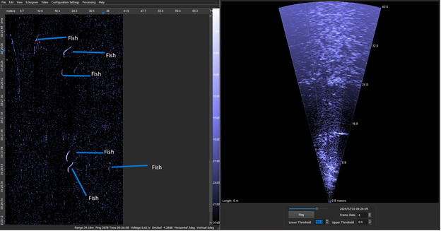 Tribal Resource Stewardship Corner – Middle Yukon River Sonar ...