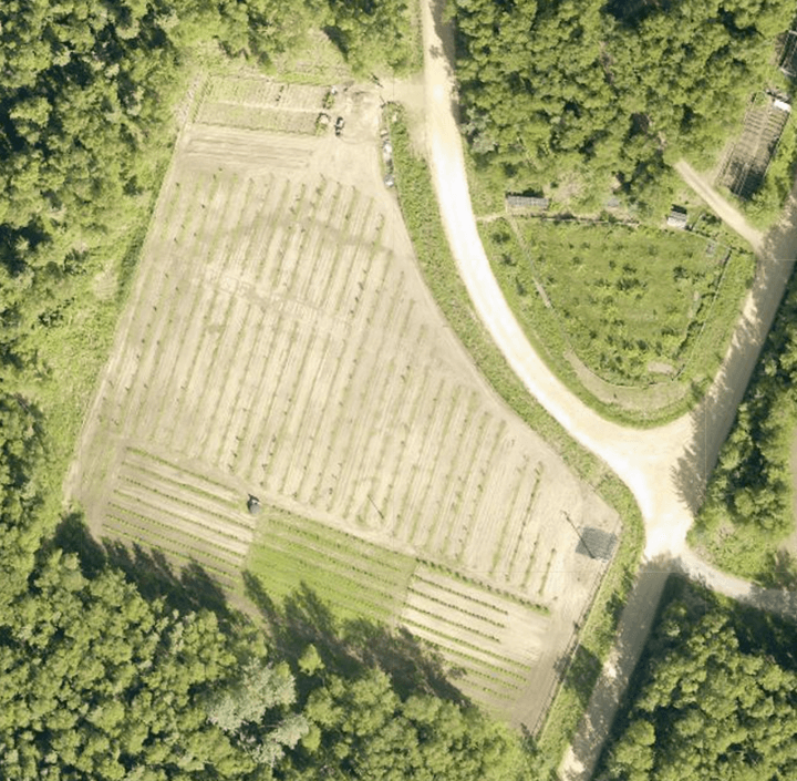Growing Fruit in Interior Alaska: Apples, Cherries, Plums, and Pears ...