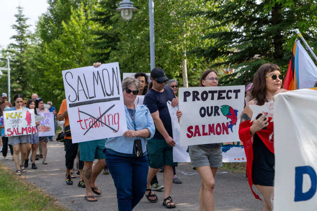 Day of Peaceful Protest for the Survival of Yukon River Salmon – Tanana ...